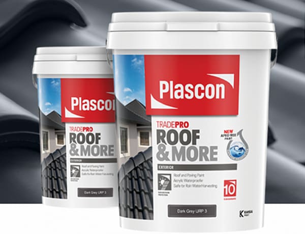 Plascon TradePro Roof: Advanced Paint Solutions