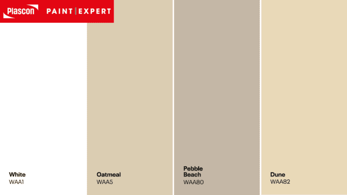Best Exterior Paint in SA - Plascon Wall & All
