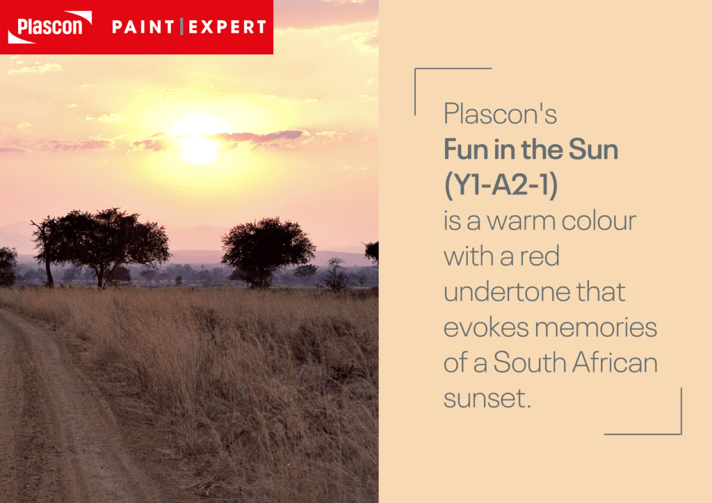 Plascon’s Colour Combination of the Year 2023 - Plascon Paint Expert