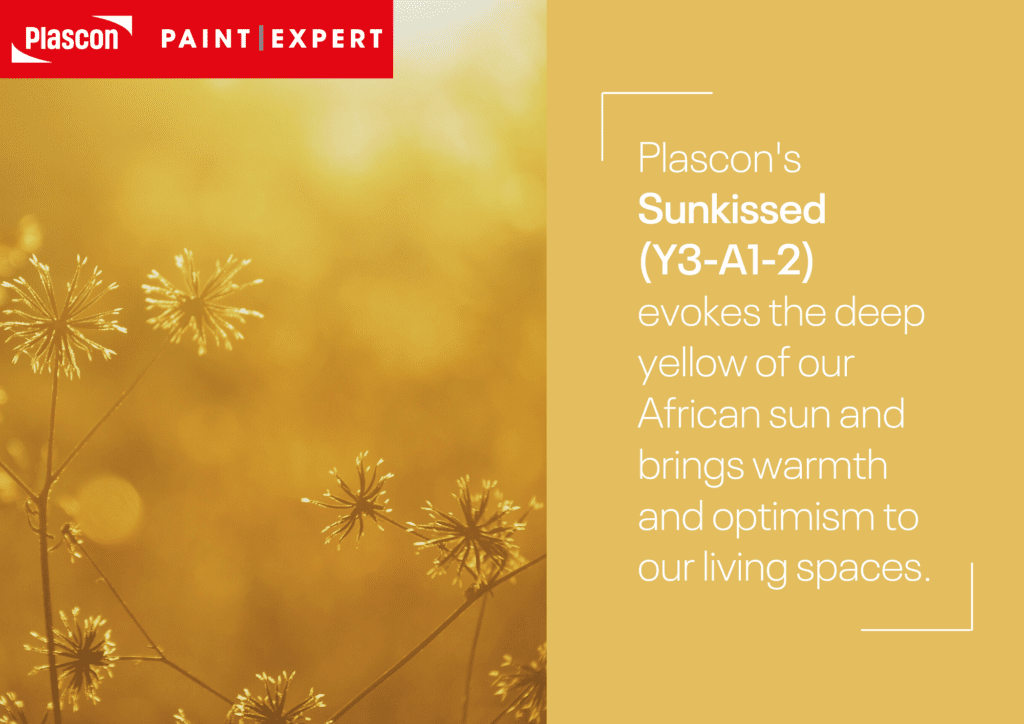 Plascon’s Colour Combination of the Year 2023 - Plascon Paint Expert