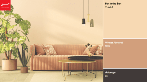 Plascon’s Colour Combination of the Year 2023 - Plascon Paint Expert