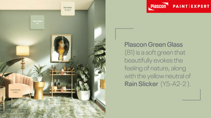 Plascon 2023 Colour Forecast: Discover Vibrant Hues