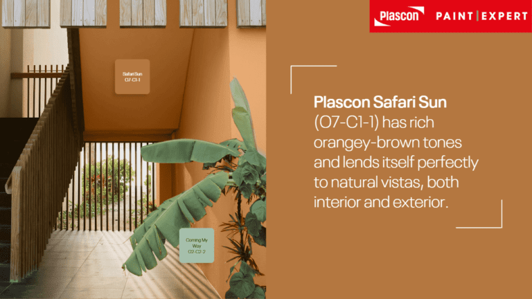 Plascon 2023 Colour Forecast: Discover Vibrant Hues