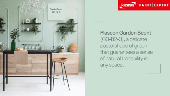 Plascon 2023 Colour Forecast: Discover Vibrant Hues