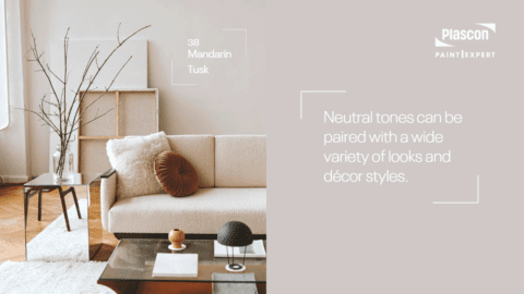 Best colours for your living space according to experts.