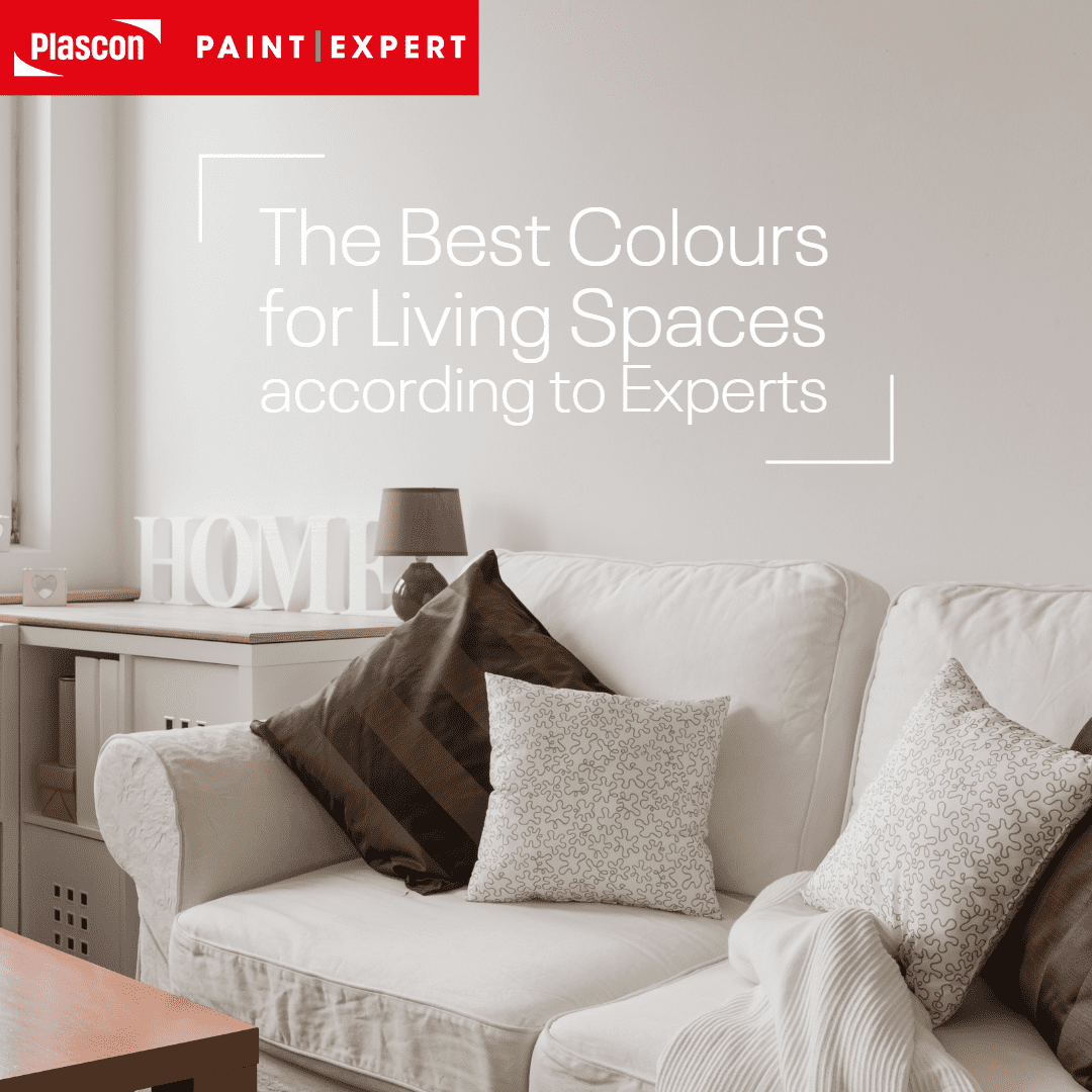 Home - Plascon Paint Expert