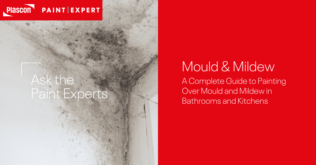 A Complete Guide to Painting Over Mould and Mildew