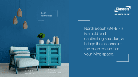 Plascon's Colour Combination of the Year 2024: Blue Spaces