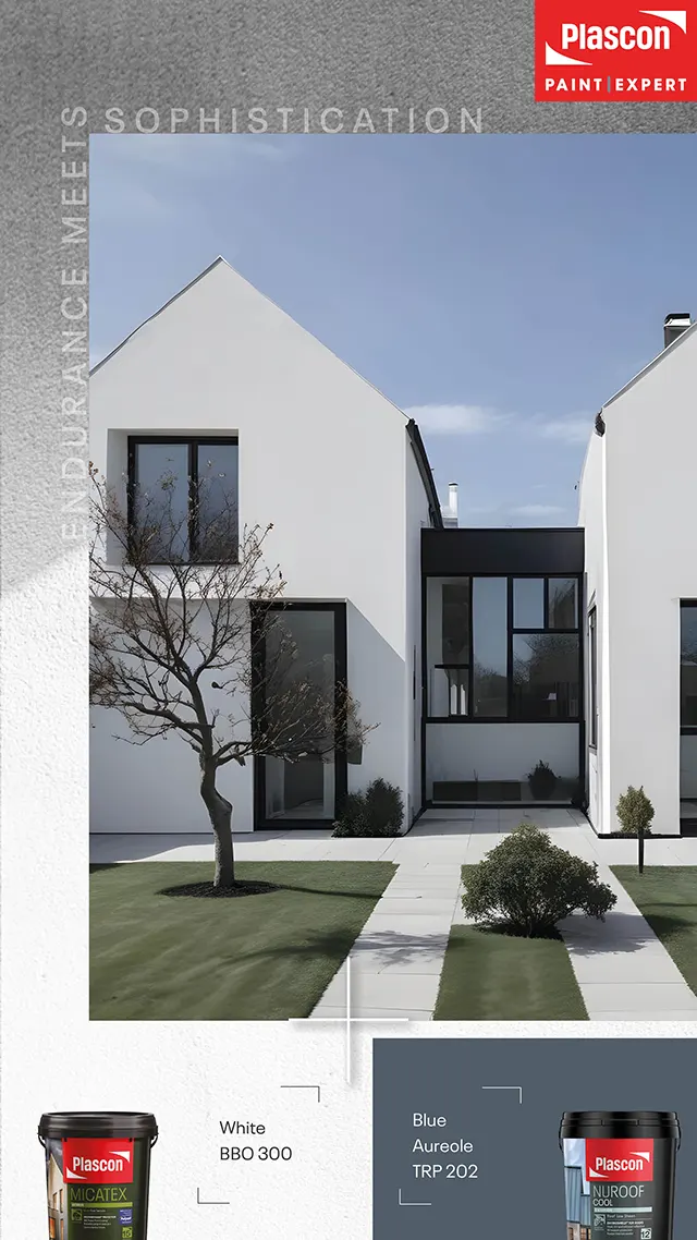 Tough + Bold Trending Colours: Transform with Plascon Micatex