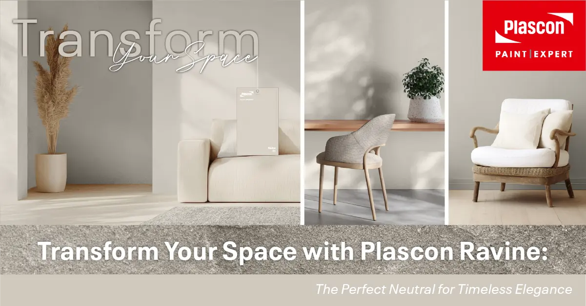 Transform Your Space with Plascon Ravine Paint